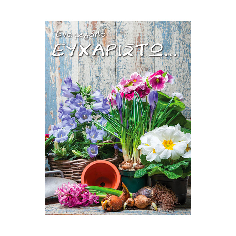 ΕΥΧΕΤΗΡΙΑ ΚΑΡΤΑ ΕΥΧΑΡΙΣΤΗΡΙΑ - B2b Best For - Life Philosophy
